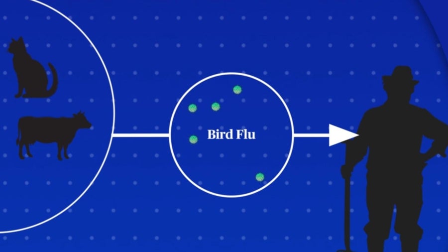 Trump administration yanks Moderna's bird flu vaccine research funding ...