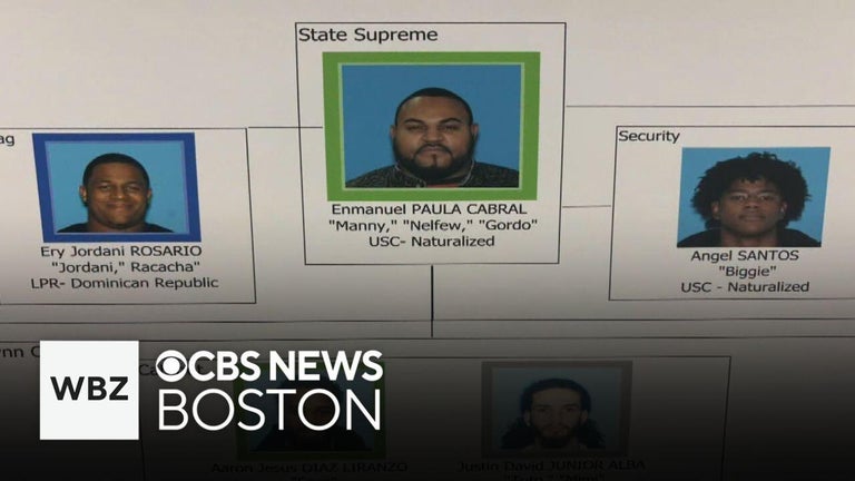 Alleged Trinitarios gang members arrested in connection with ...