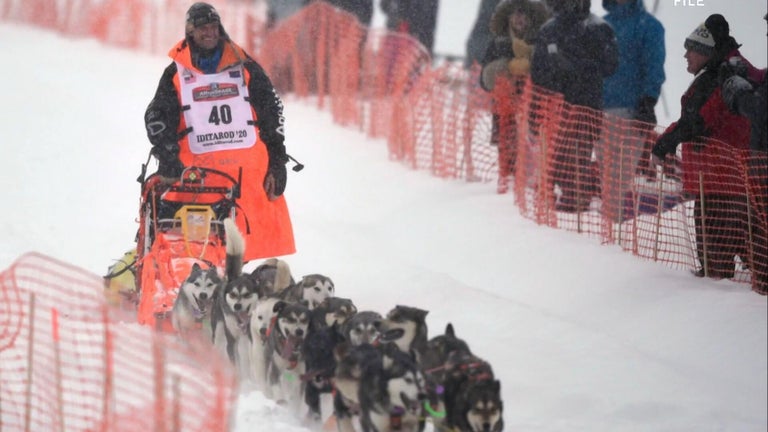 Former reality TV star Jessie Holmes wins his first Iditarod Trail Sled ...