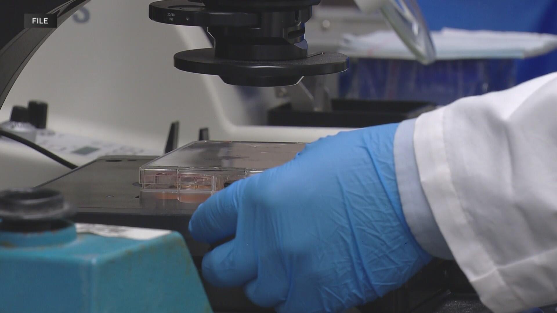 Colorado CDC researcher terminated amid federal budget cuts while ...