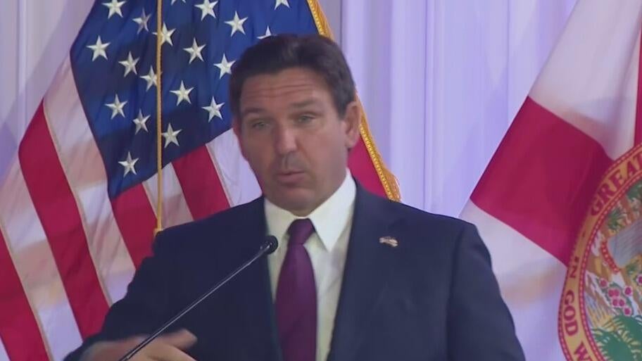 DeSantis creates Florida DOGE task force to cut state spending, target ...