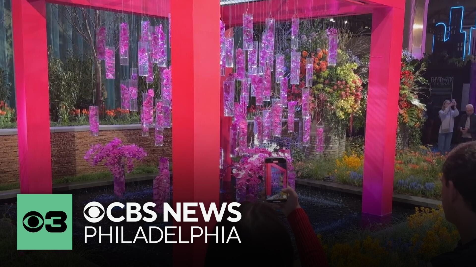 2025 Philadelphia Flower Show blooms with fashion, art and breathtaking ...
