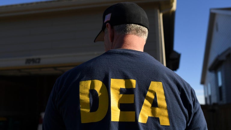 Grim details of infamous Jalisco cartel's operations revealed during ...