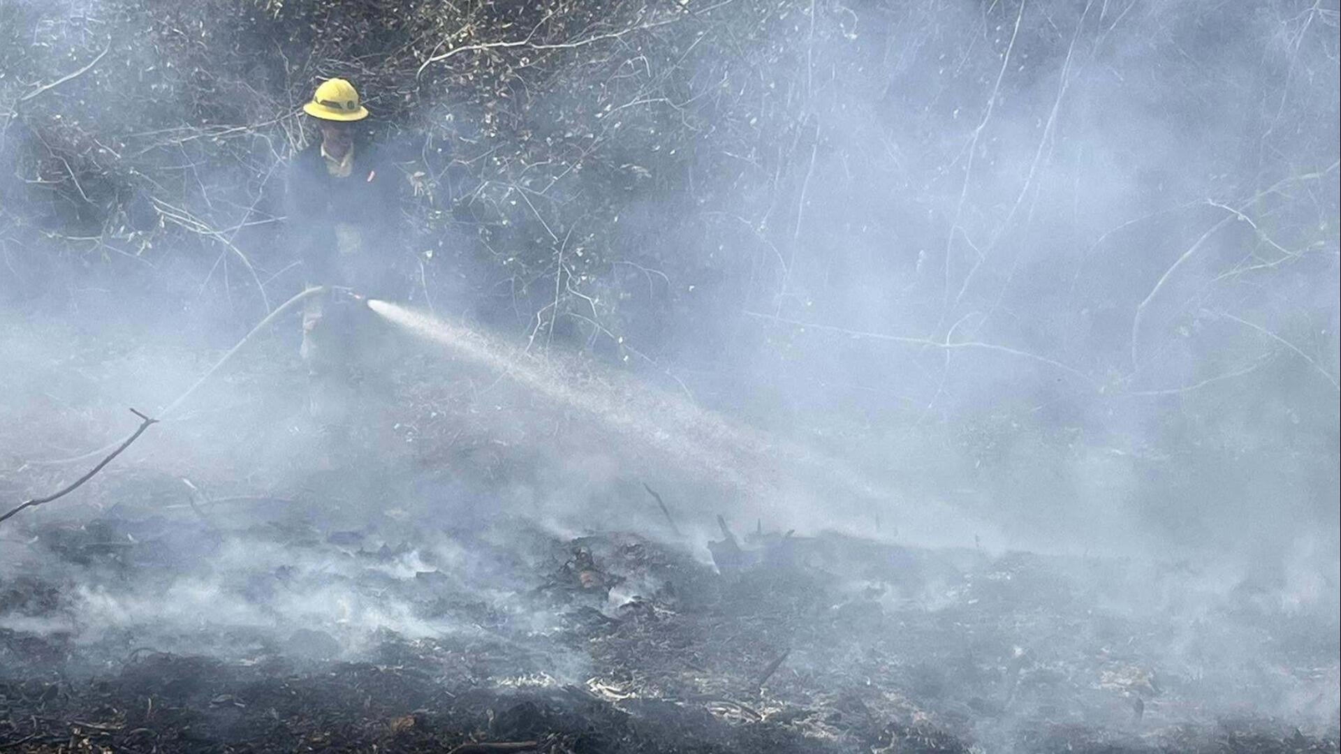 Carolina fire maps show where wildfires burn in North and South Carolina - CBS News