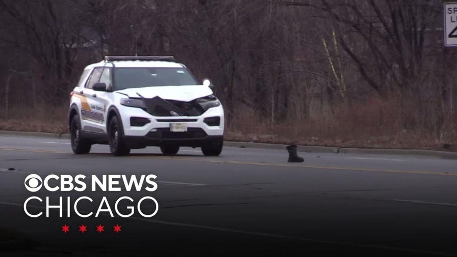 Pedestrian hit, critically injured by Cook County Sheriff's squad car ...