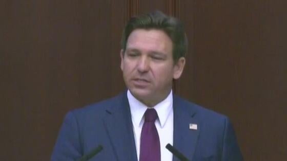 Gov. Ron DeSantis delivers his 2025 State of the State address at the ...