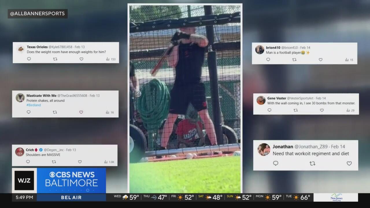 Baltimore Orioles outfielder Tyler O'Neill is making a strong ...