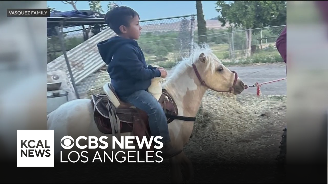 Jurupa Valley child's pony stolen from family yard - CBS Los Angeles
