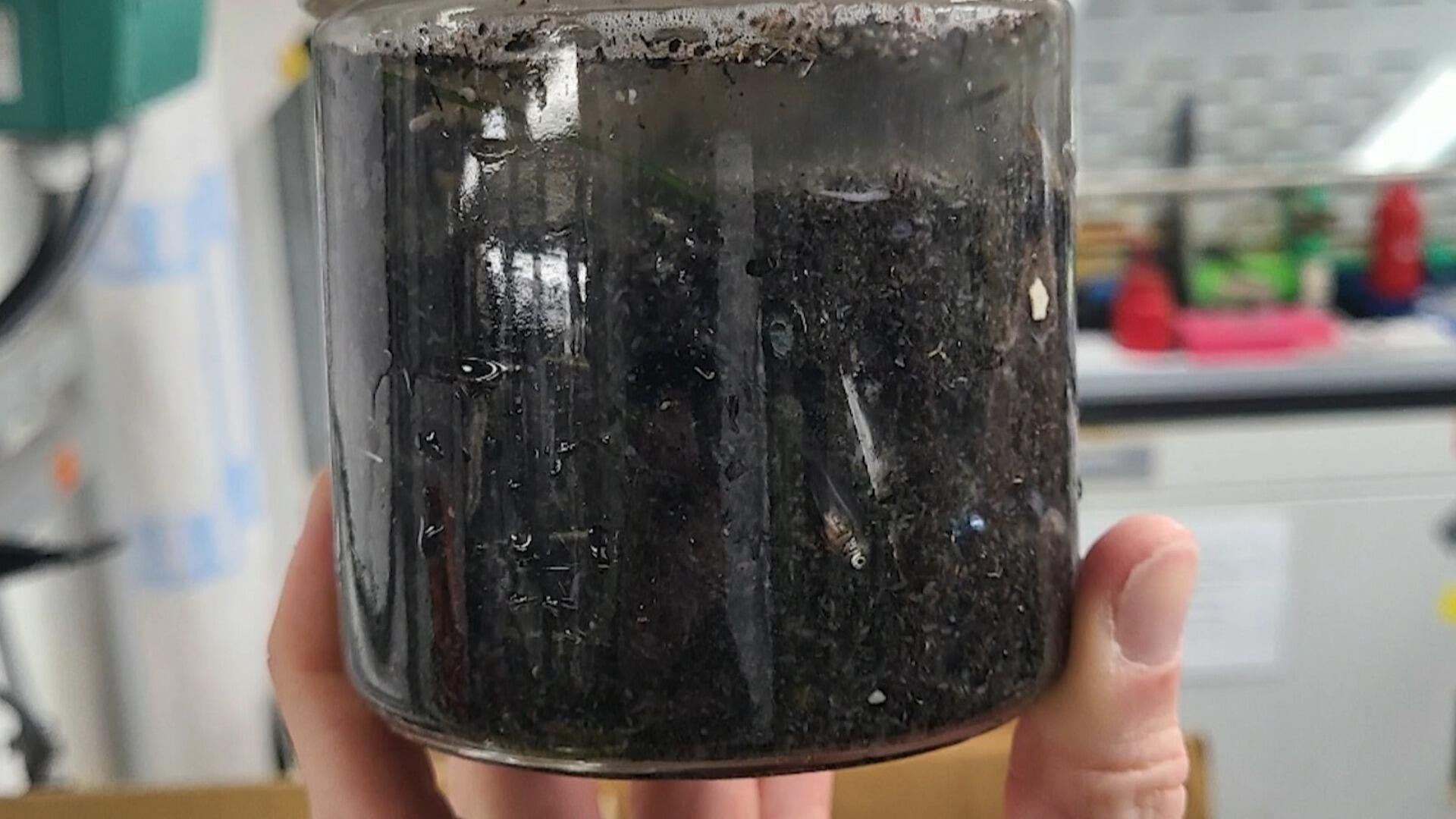 Oceanographers study the impact of toxic ash from the Los Angeles wildfires on marine life - CBS ...