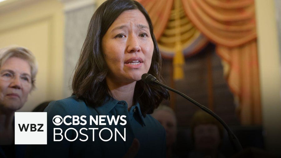 Mayor Michelle Wu ready to "stand up for Boston" in testimony before ...