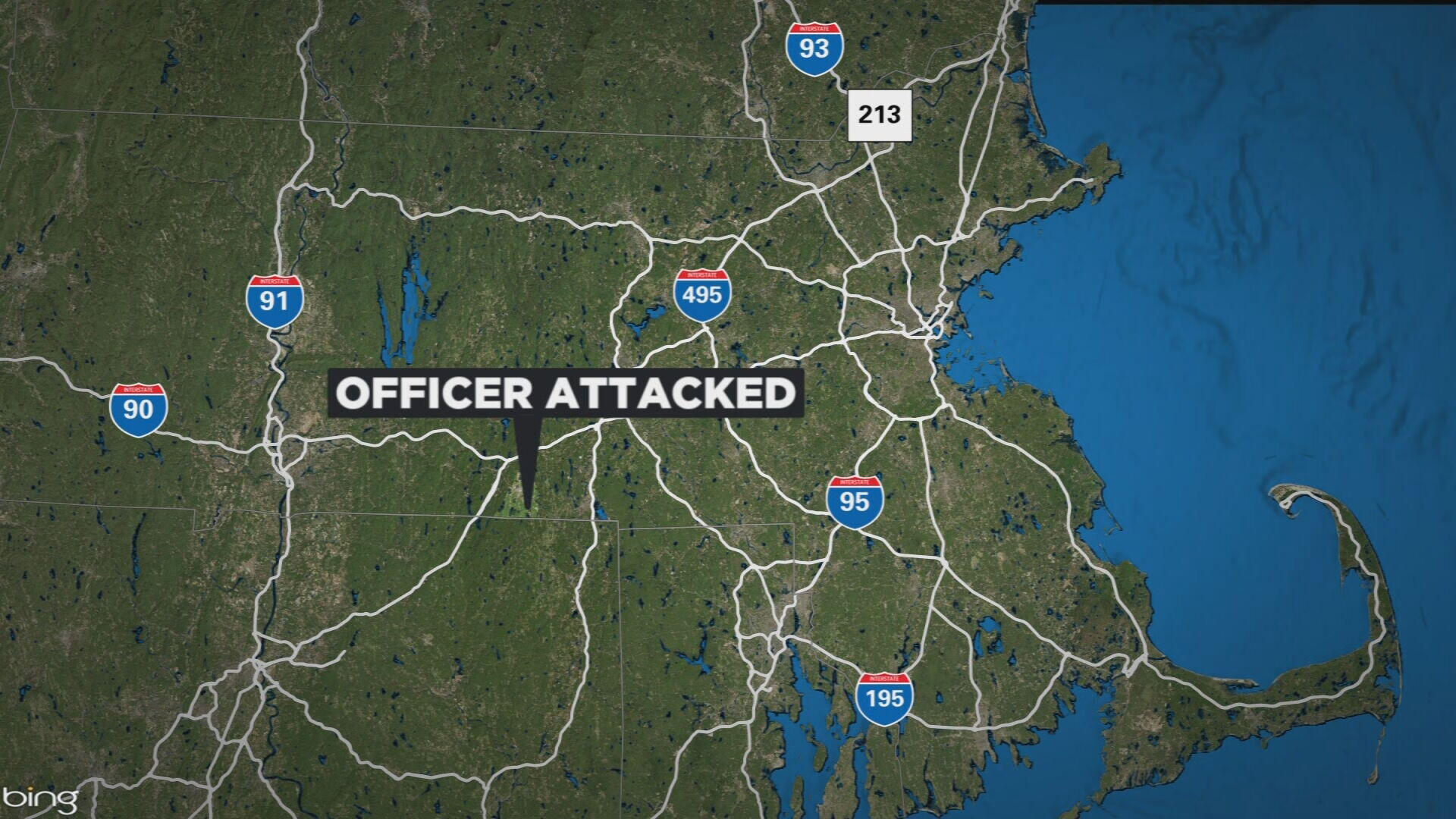 Rabid bobcat attacks Southbridge police officer - CBS Boston