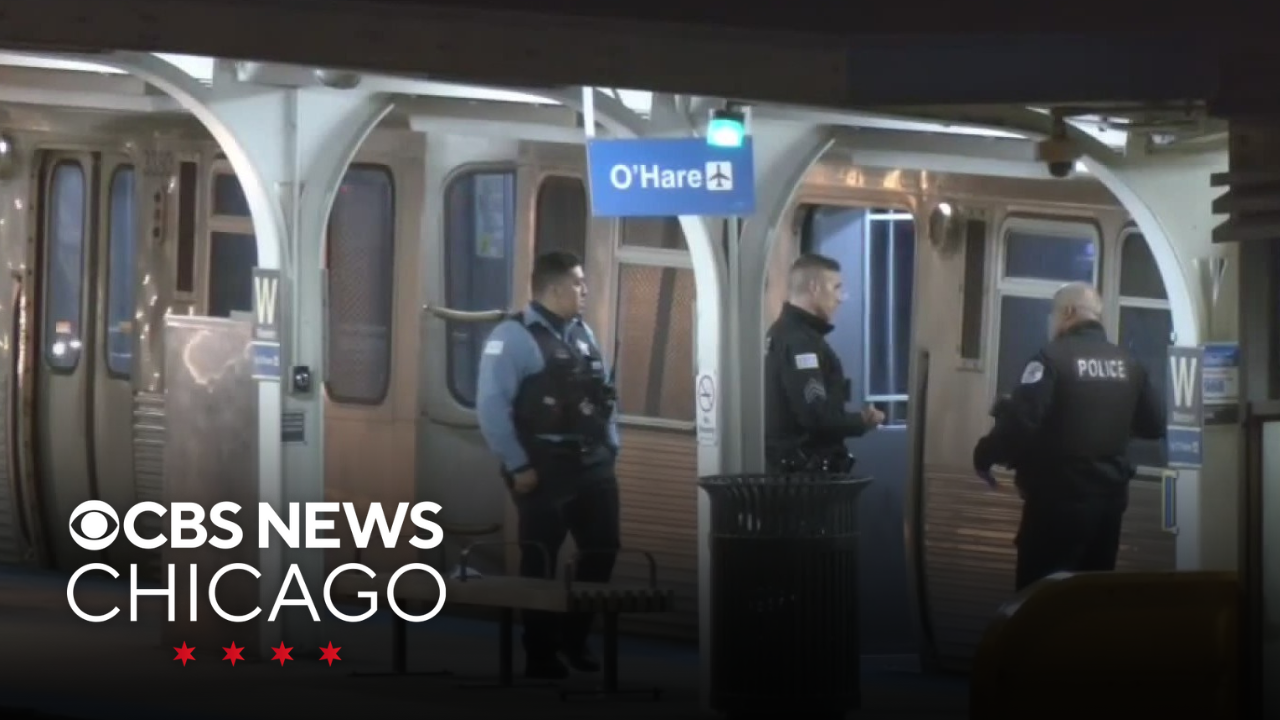 Man killed by CTA train after falling onto the tracks on Chicago's ...