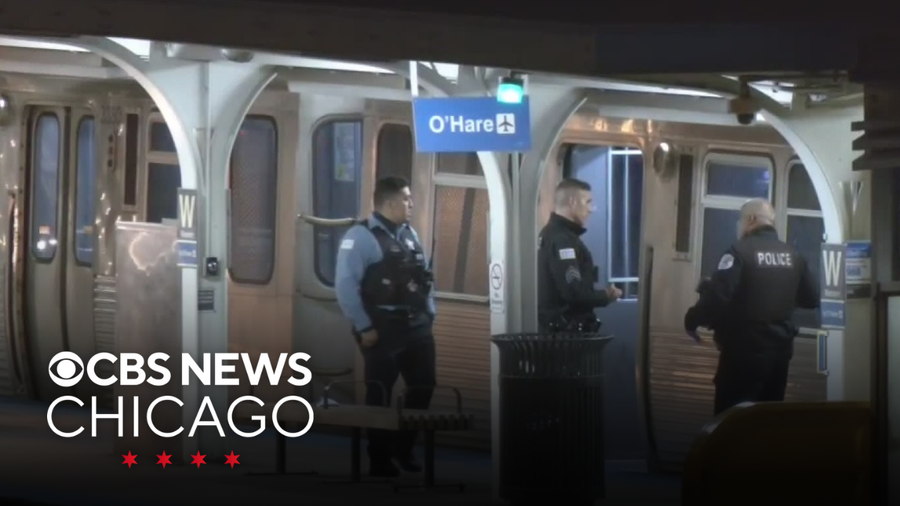 Man killed by CTA train after falling onto the tracks on Chicago's ...