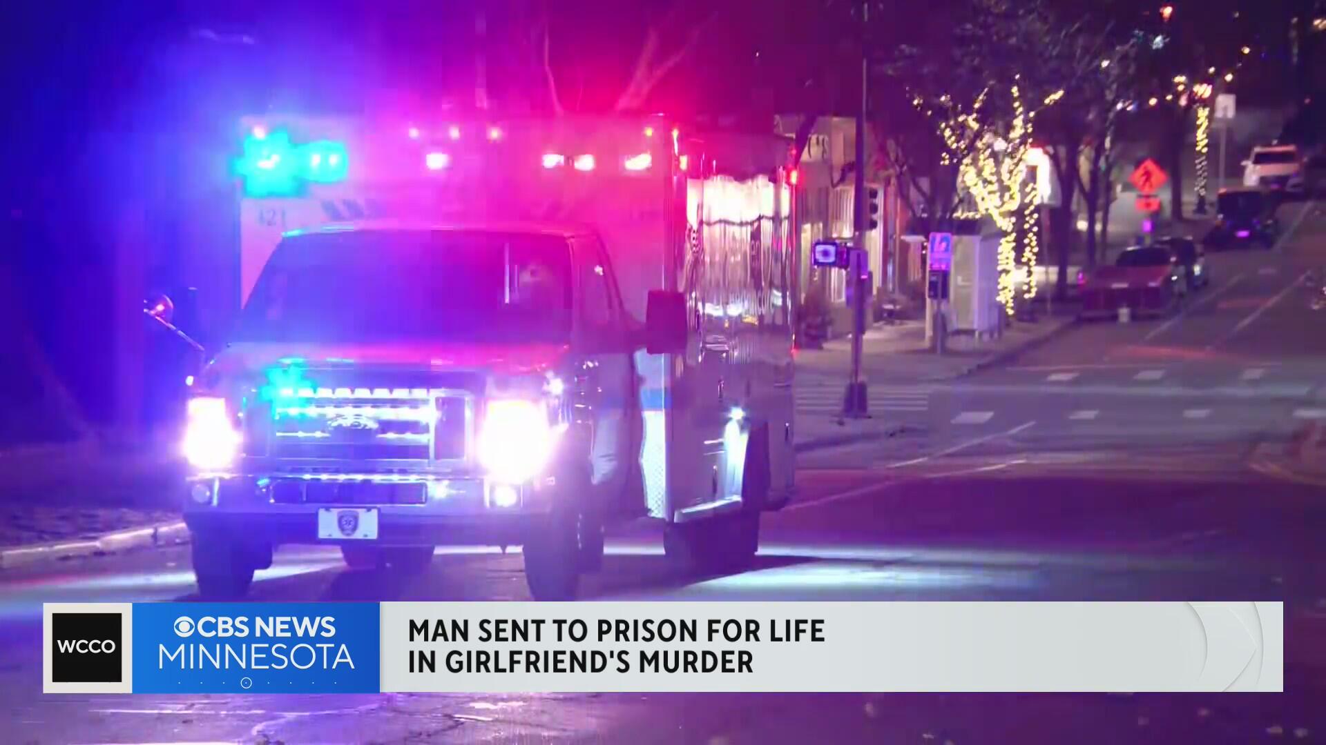 Minneapolis man sentenced to life in prison in domestic violence murder ...