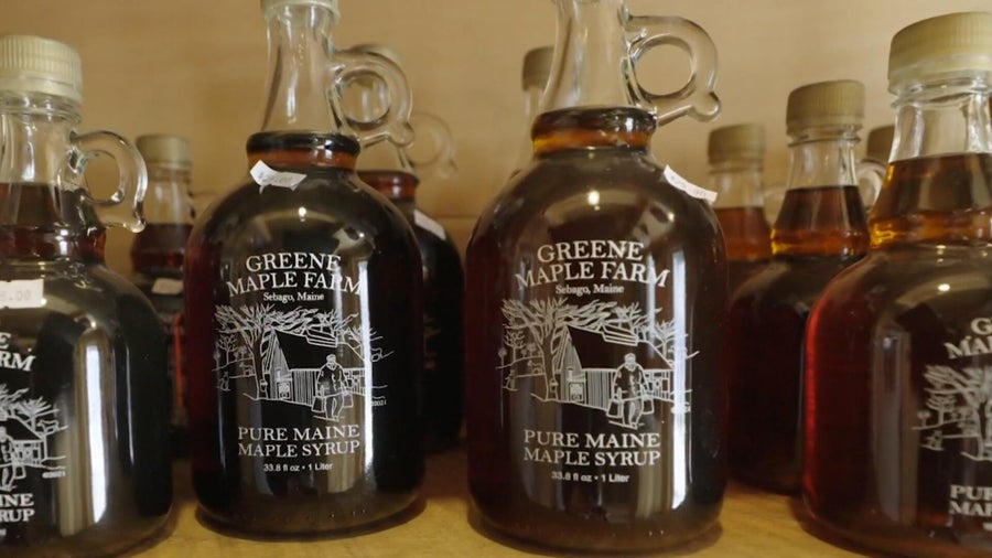 Why the maple syrup industry is under threat from climate change - CBS News