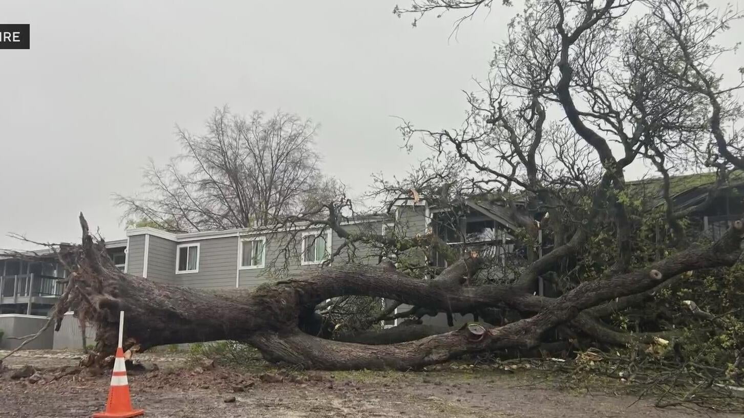 Windstorm sends tree crashing down onto Sacramento-area apartment ...