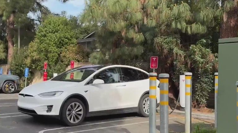 Anti-Trump, Musk rallies planned in Bay Area this weekend as part of ...