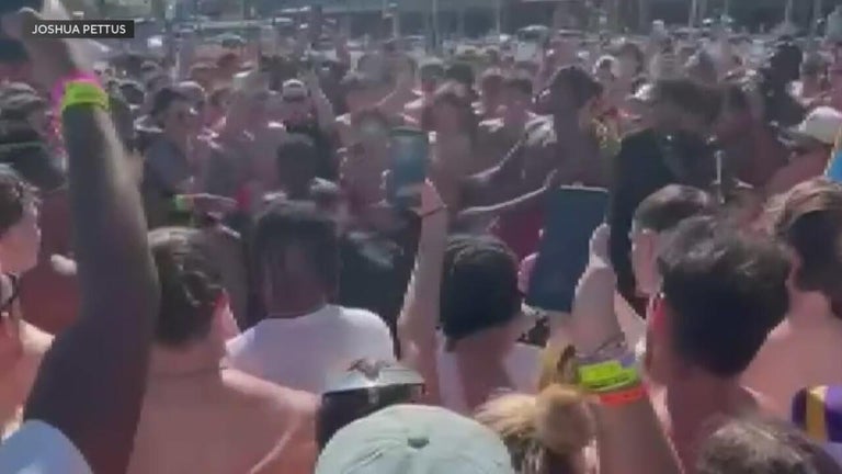 Video shows spring breakers boxing in fighting ring on Fort Lauderdale ...