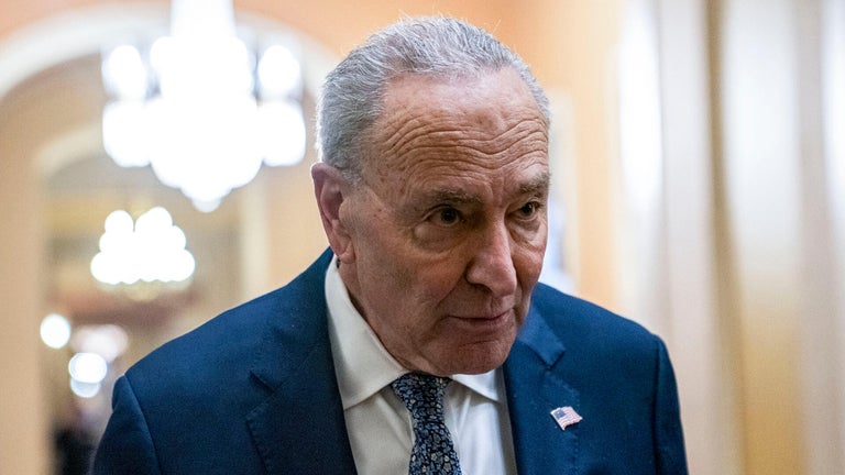 Schumer postpones book tour, citing "security concerns" after ...