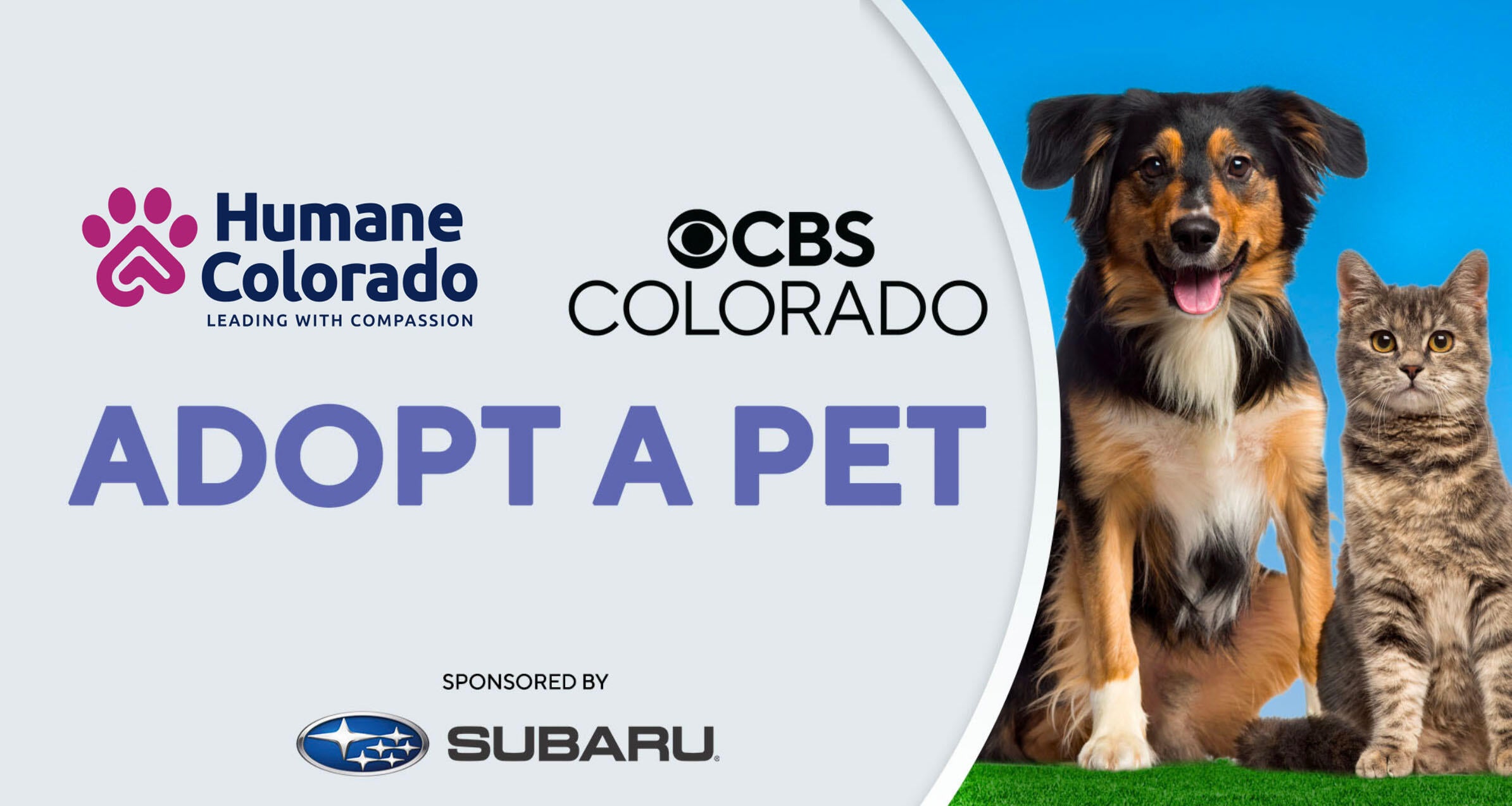 Adopt-a-Pet - CBS Colorado
