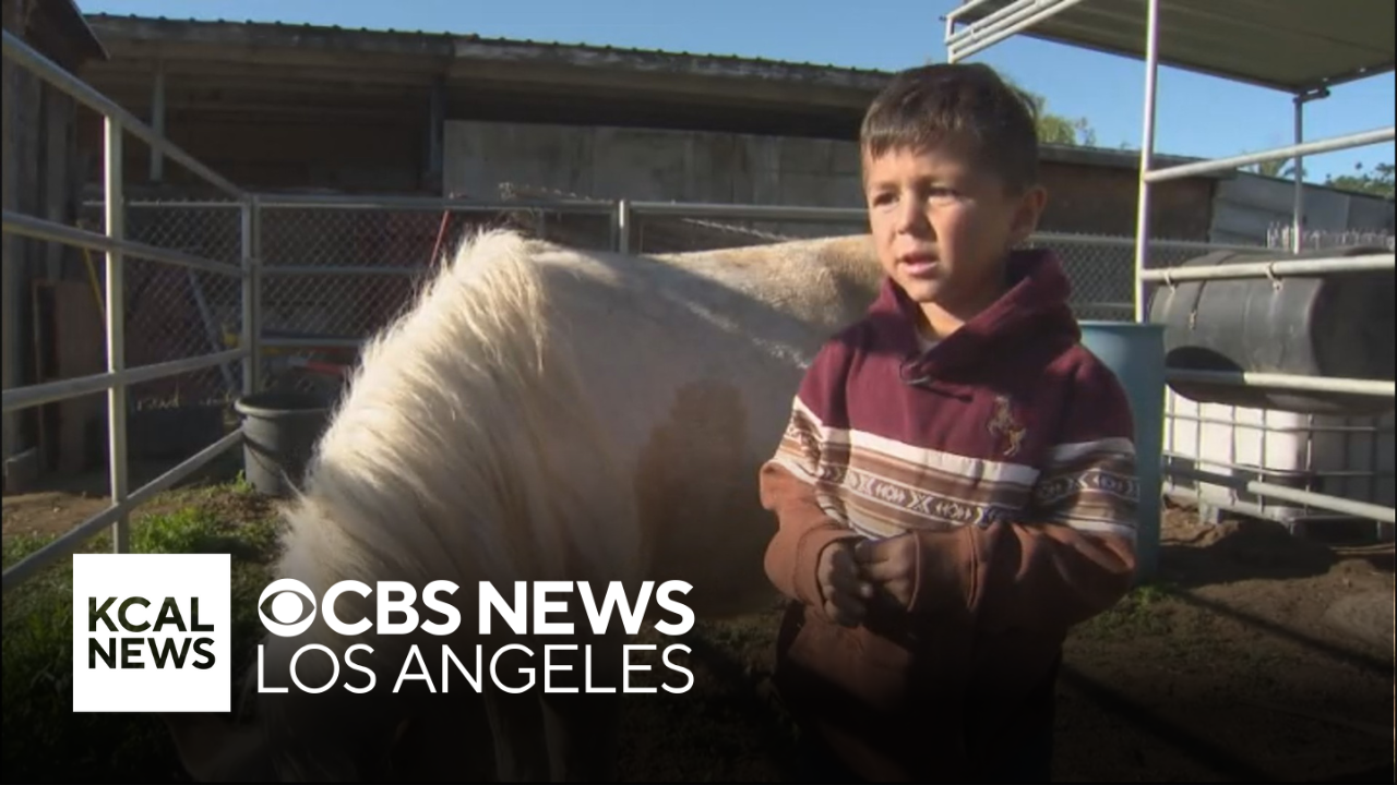 Stolen pony reunited with Jurupa Valley child - CBS Los Angeles