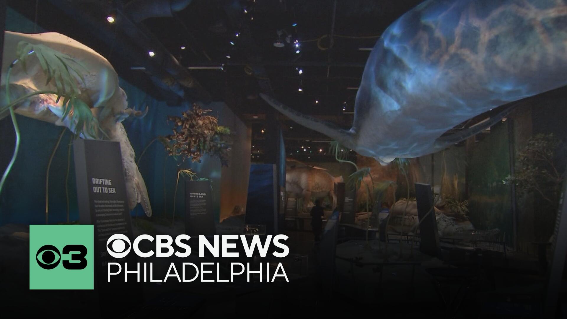 New fossil park and museum of Rowan University in New Jersey takes a ...