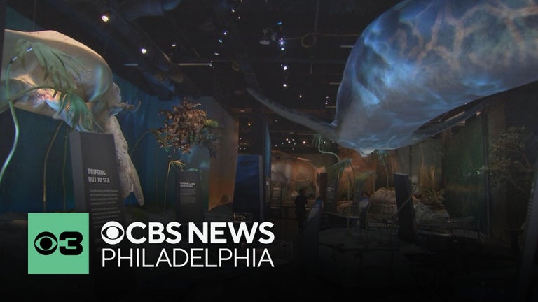 New fossil park and museum of Rowan University in New Jersey takes a ...