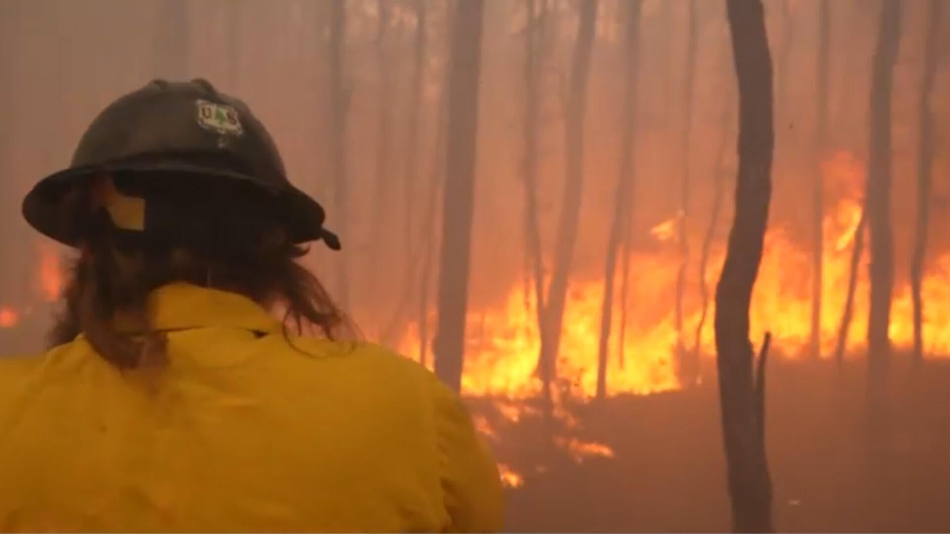 Carolina fire maps show where Table Rock fire, more wildfires burn - CBS News