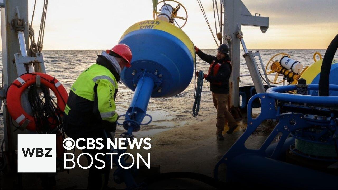 New buoys listen for critically endangered right whale sounds off ...