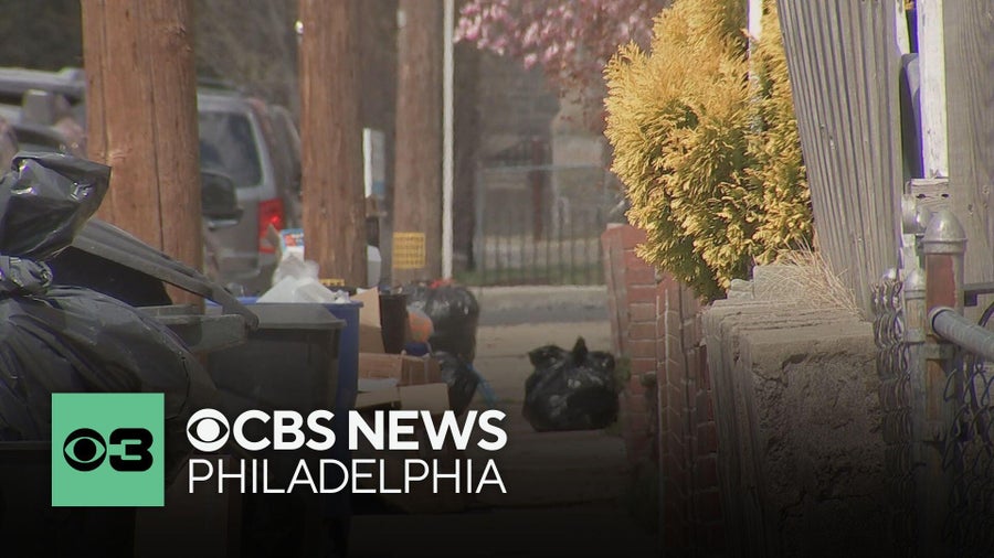 Northeast Philadelphia neighborhood on edge after dogs brutally attack ...