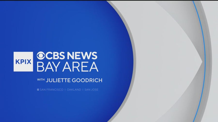 Influencer Ricci Wynne in court on child porn charges; SFPD seeks ...