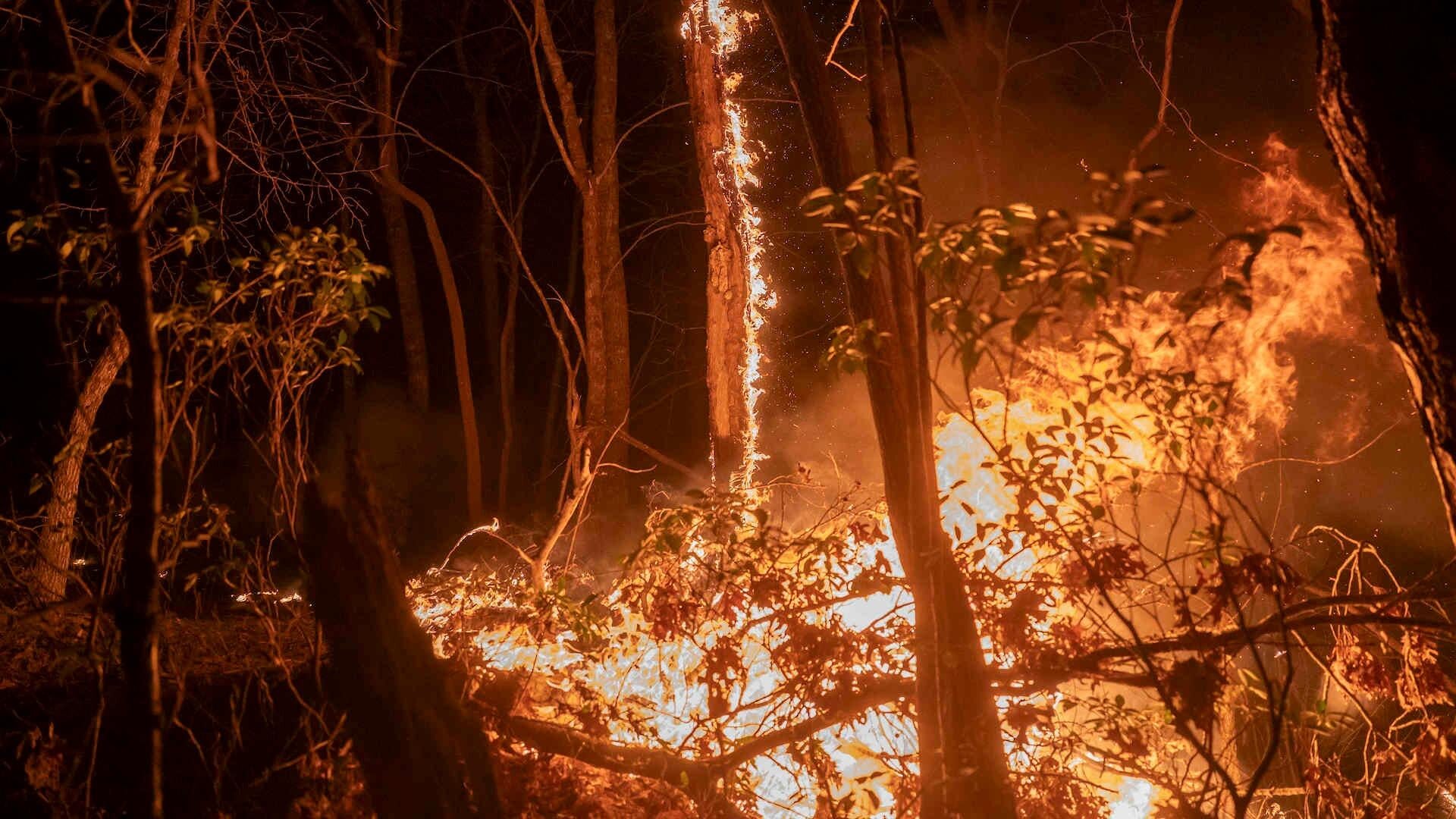 South Carolina officials warn about fire season as state battles Table Rock wildfire, more ...