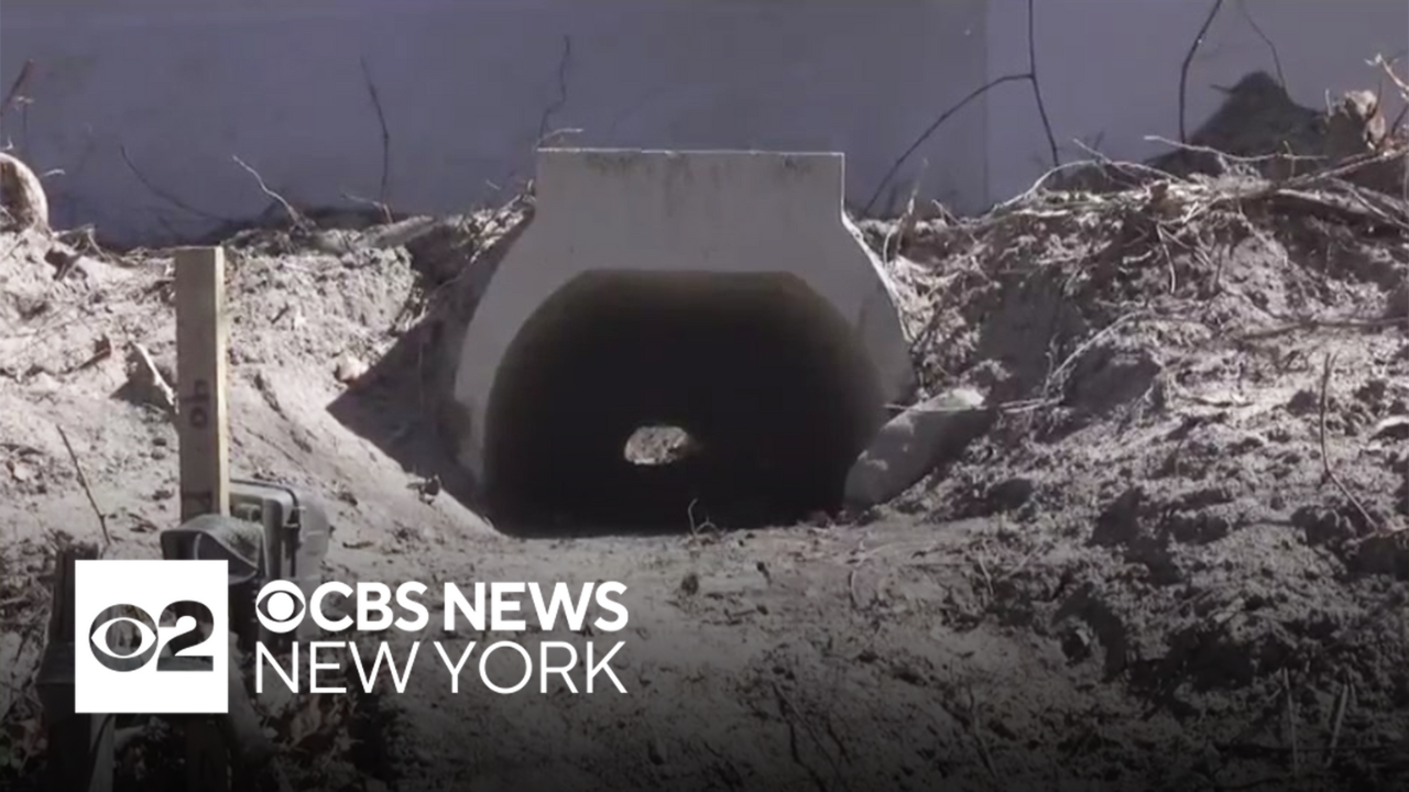 Long Island town constructs "Frog Hollow Tunnel" to save amphibians ...