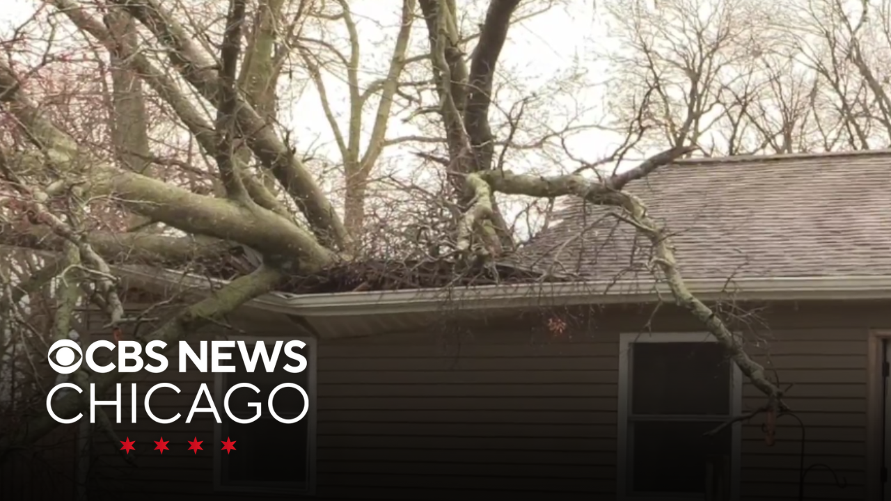 Fast-moving storms blast through Chicago area, causing damage and power ...