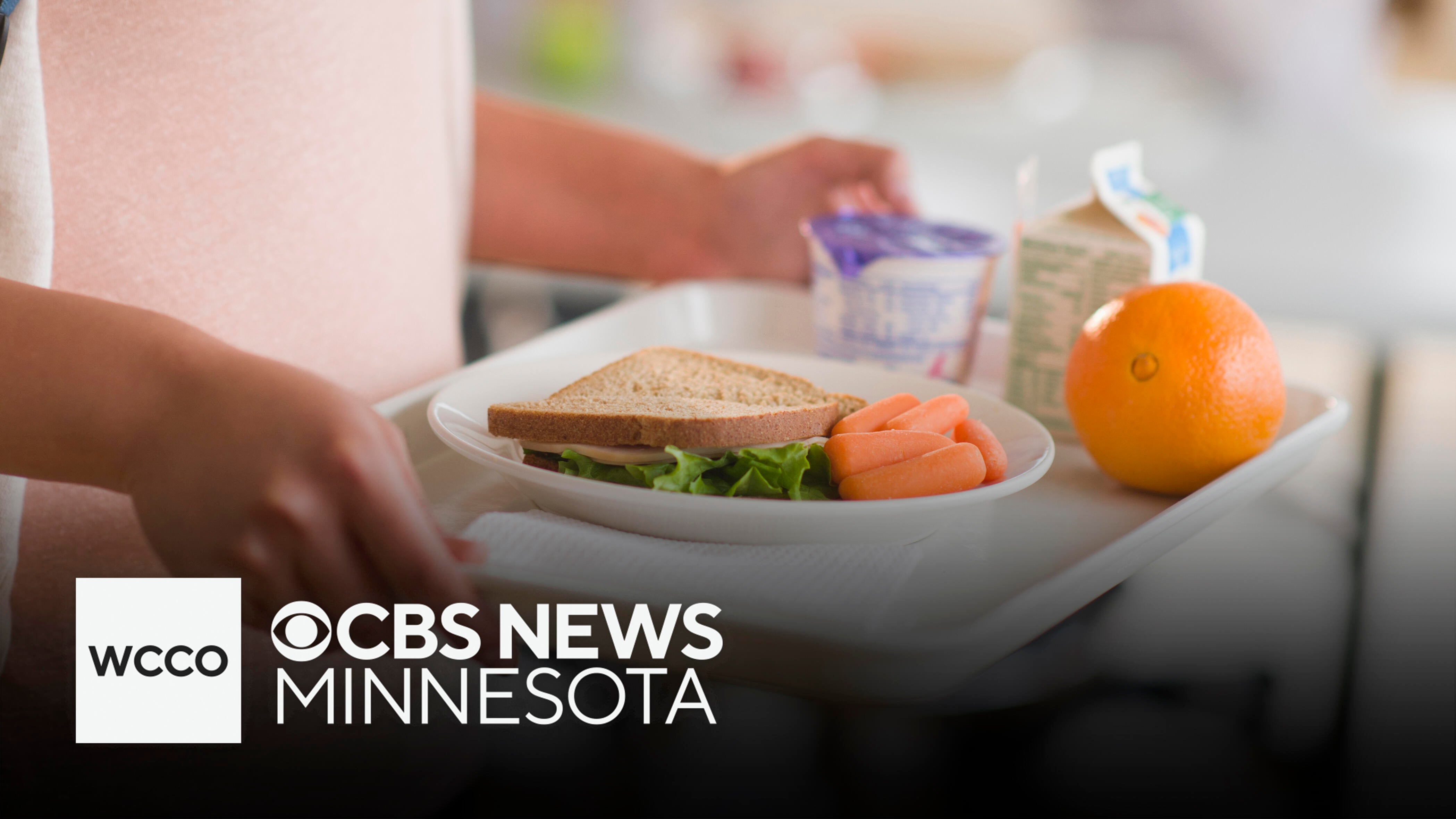 Bill would scale back Minnesota's universal free school meals program ...