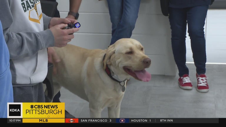 Aliquippa firehouse dog who brings comfort to firefighters celebrates ...