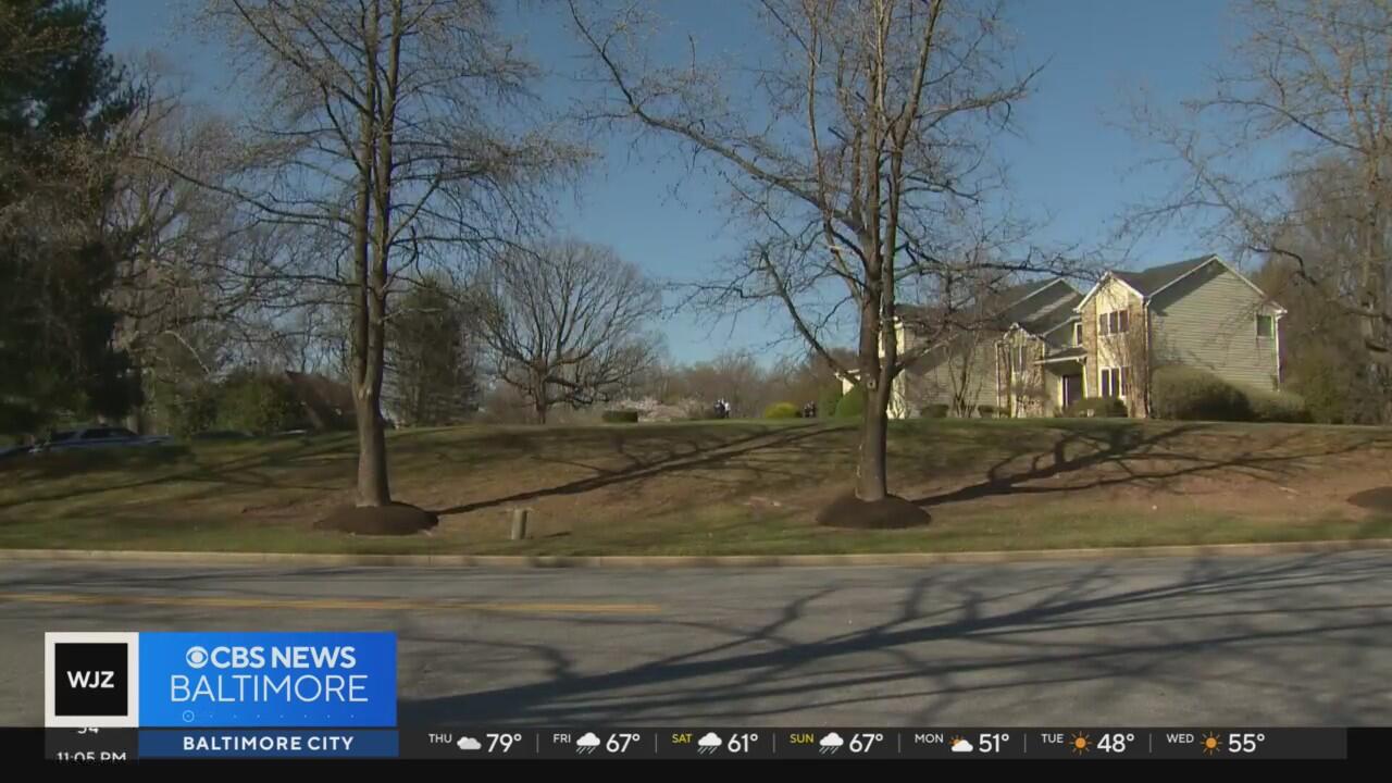 Married couple killed in apparent murder-suicide rattles Baltimore ...