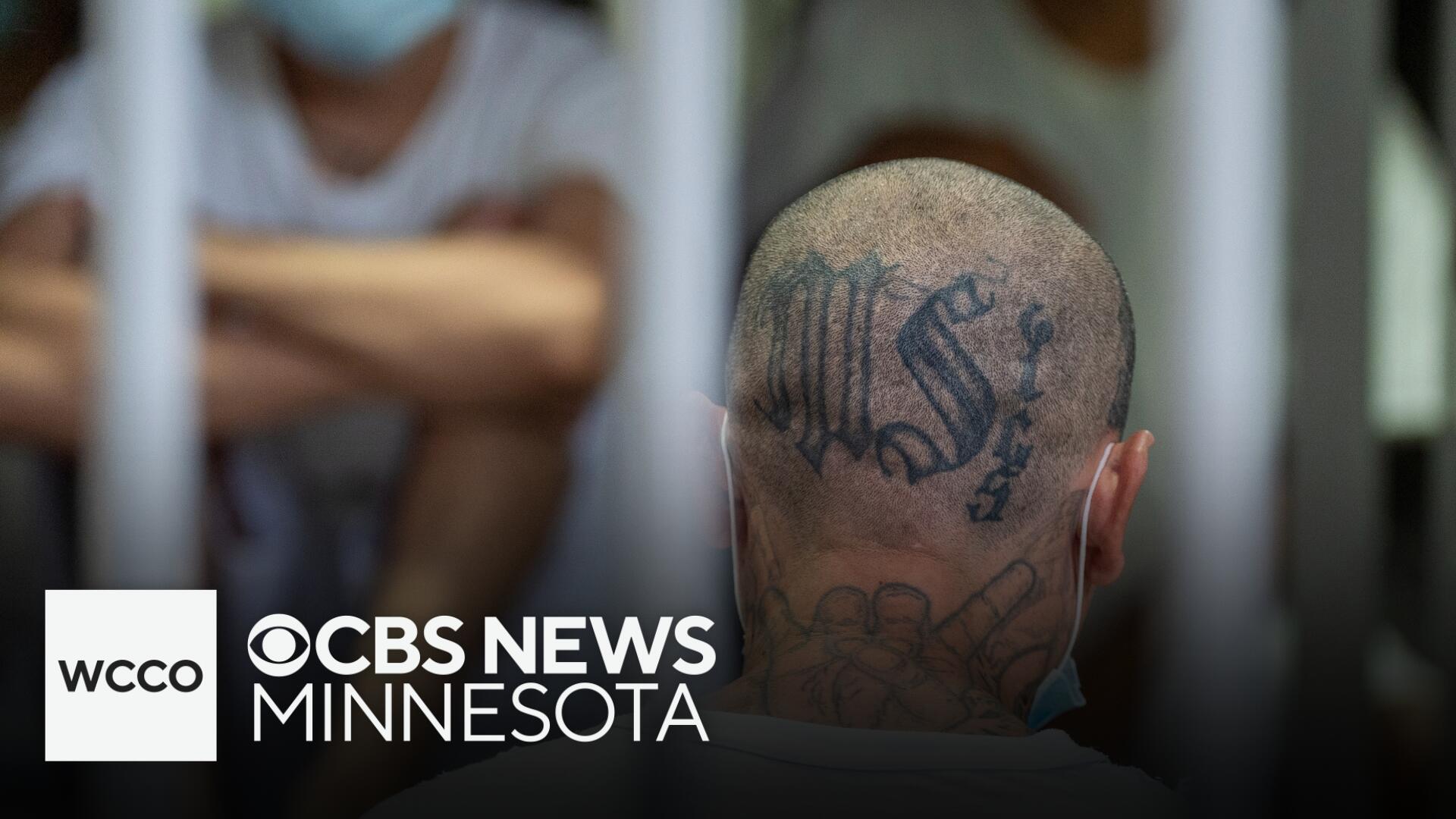 Alleged MS-13 gang member arrested in Minnesota charged with murder, federal officials say - CBS ...