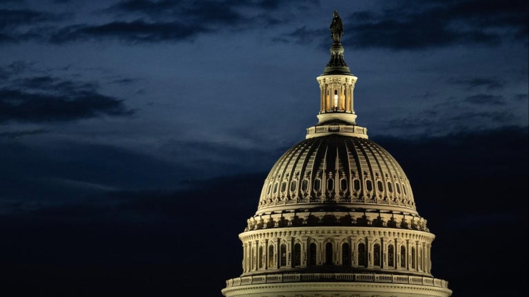 Trump, Johnson push forward on budget resolution despite House GOP ...