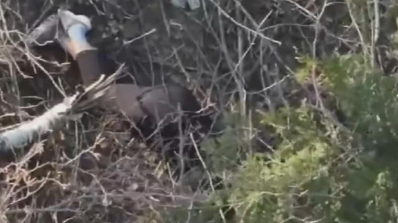 Michigan woman found by drone cameras after she was lost in woods for ...