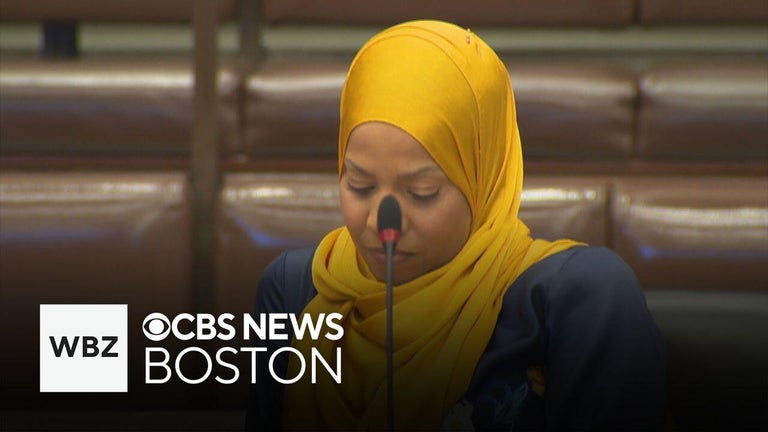 Tania Fernandes Anderson attends first Boston City Council hearing ...