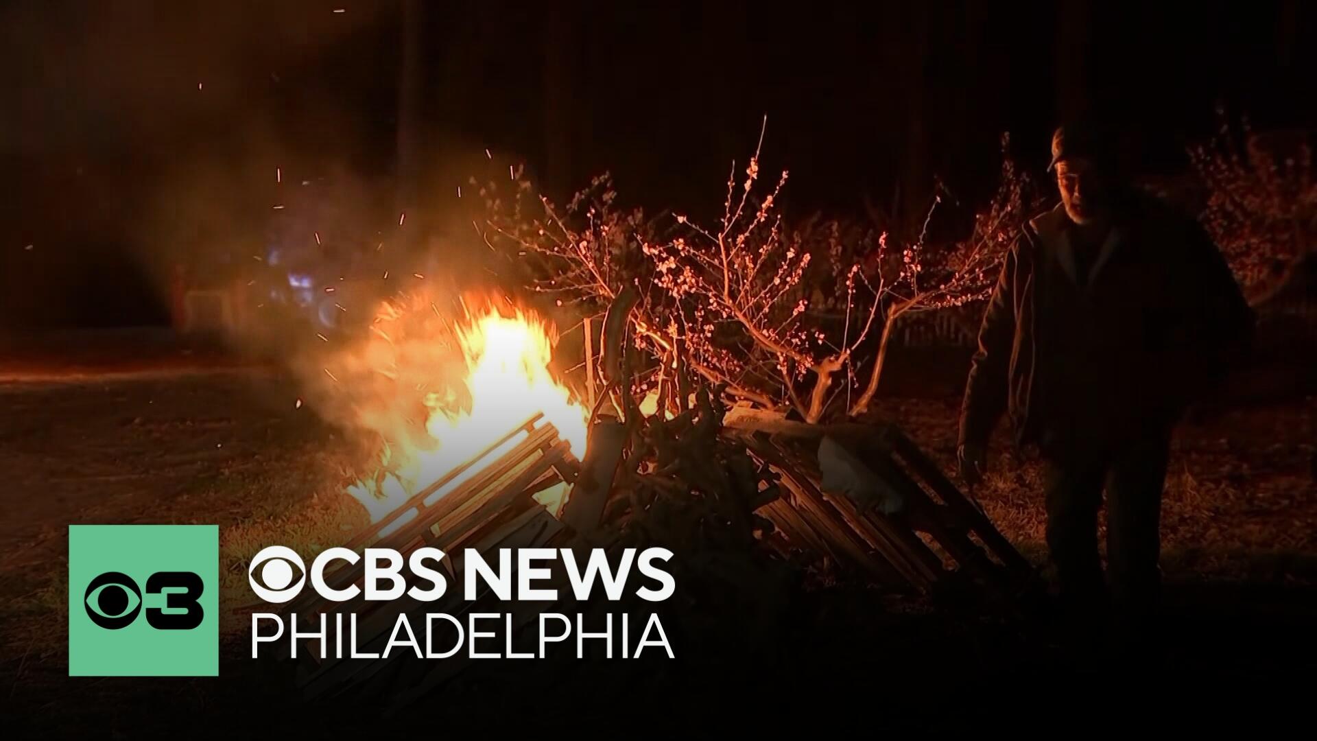 Linvilla Orchards near Philadelphia lighting fires to keep peach tree ...