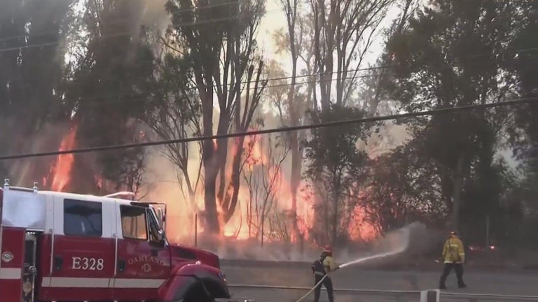 More than 40 firefighters extinguish Oakland hills fire - CBS San Francisco