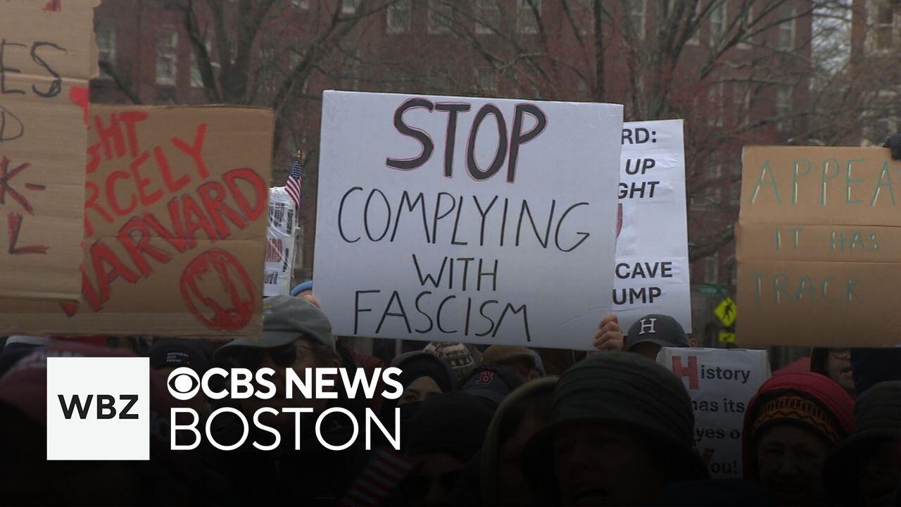 Protesters gather in Cambridge to demand Harvard University protect ...