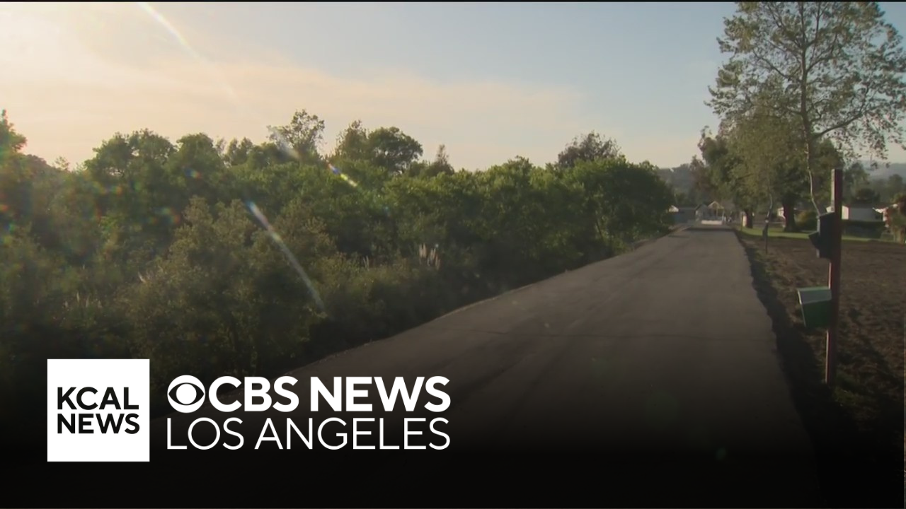 Small dog dies after mountain lion attack in Moorpark - CBS Los Angeles