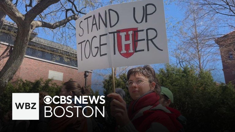 Harvard protest condemns DHS threat to revoke university's ability to ...