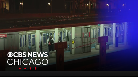 Teen injured in Red Line shooting along Chicago's Dan Ryan Expressway ...