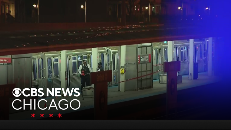 Teen injured in Red Line shooting along Chicago's Dan Ryan Expressway ...