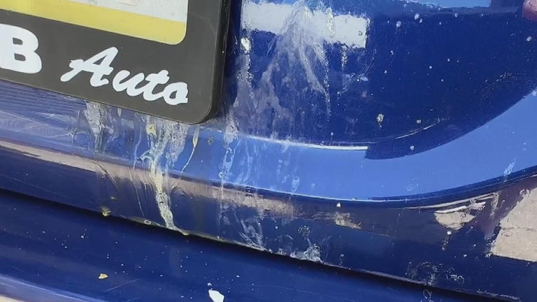 Cars egged in multiple Allegheny County communities - CBS Pittsburgh