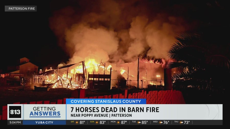 7 horses die in barn fire near Patterson, firefighters say - CBS Sacramento